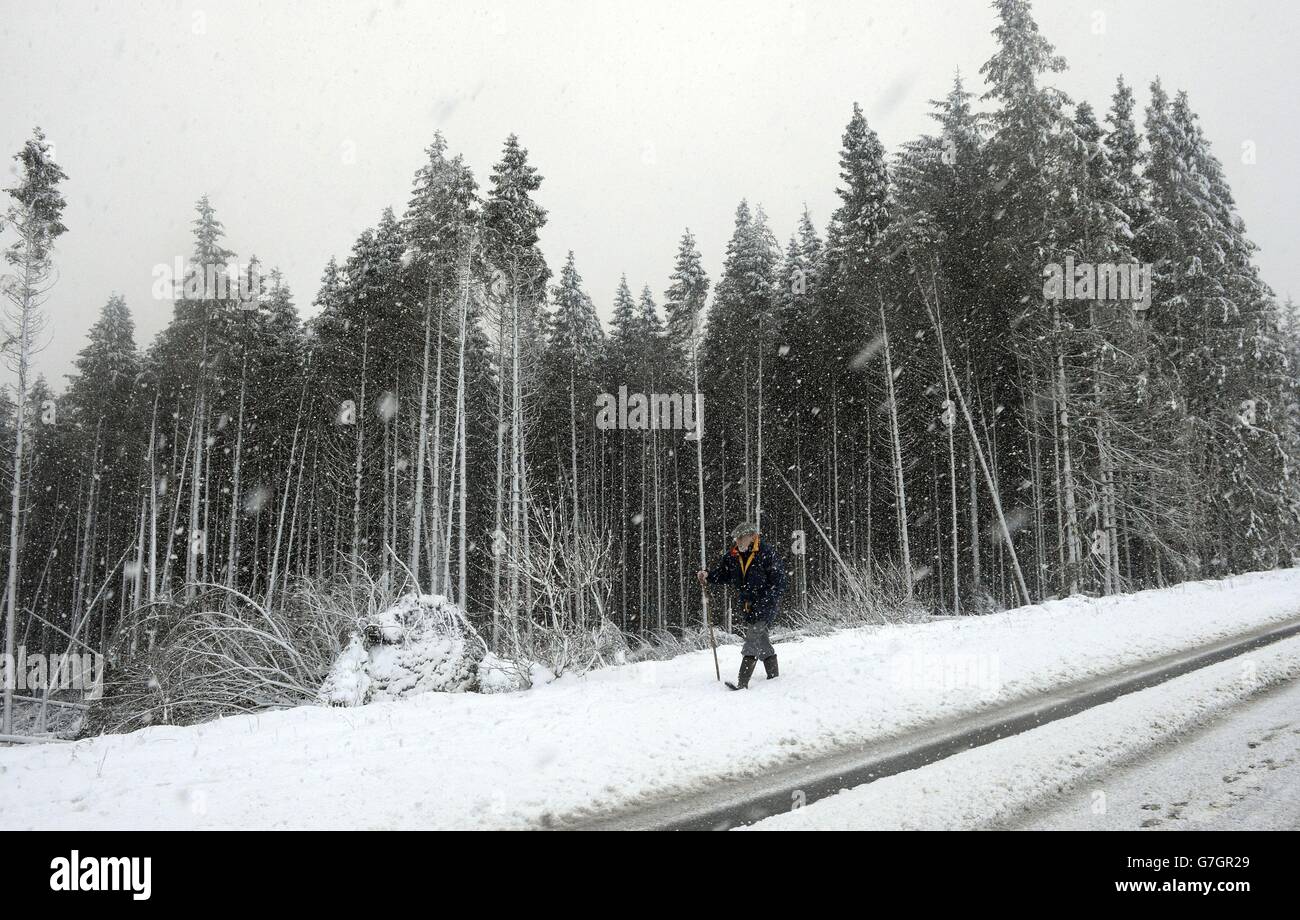 Don Clegg, 82, from Kielder in Northumberland, takes a walk out along ...