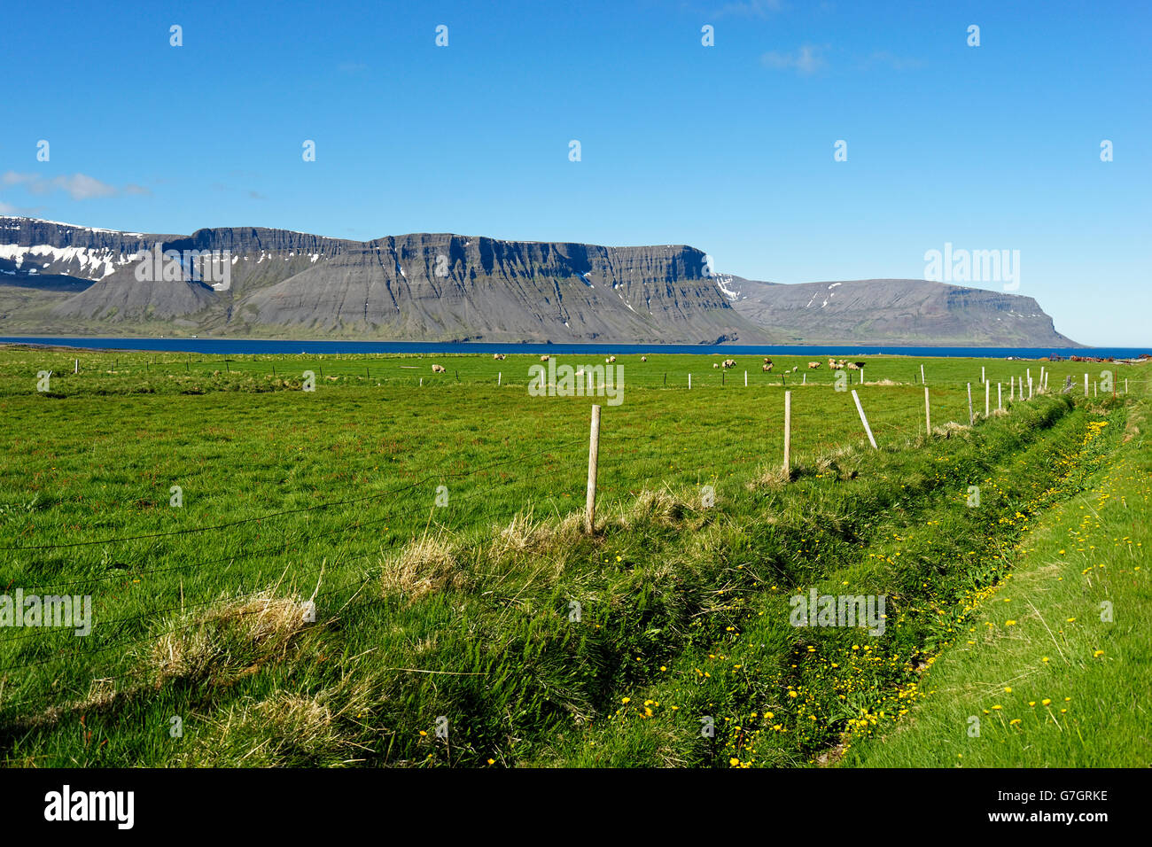 Farmland, Reykjanes, Westfjords, Iceland, Europe Stock Photo - Alamy