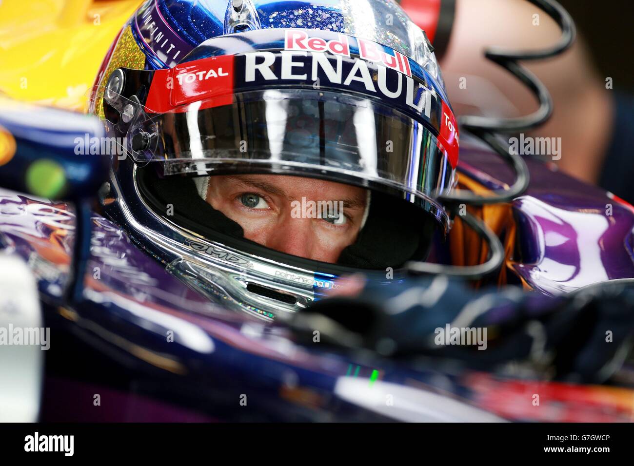 Motor Racing - Formula One World Championship - 2014 Abu Dhabi Grand ...
