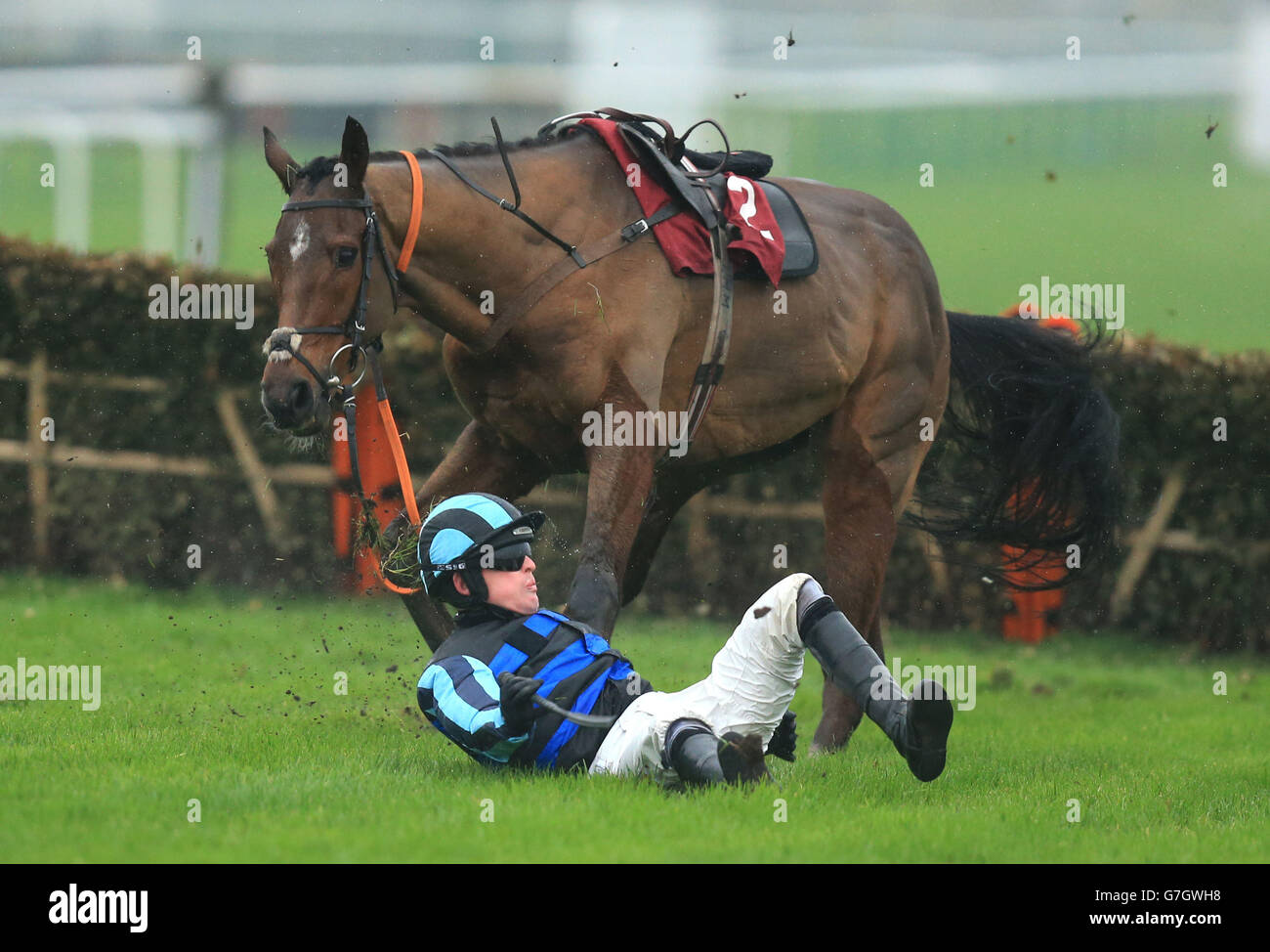 Horse Racing - Haydock Racecourse Stock Photo - Alamy
