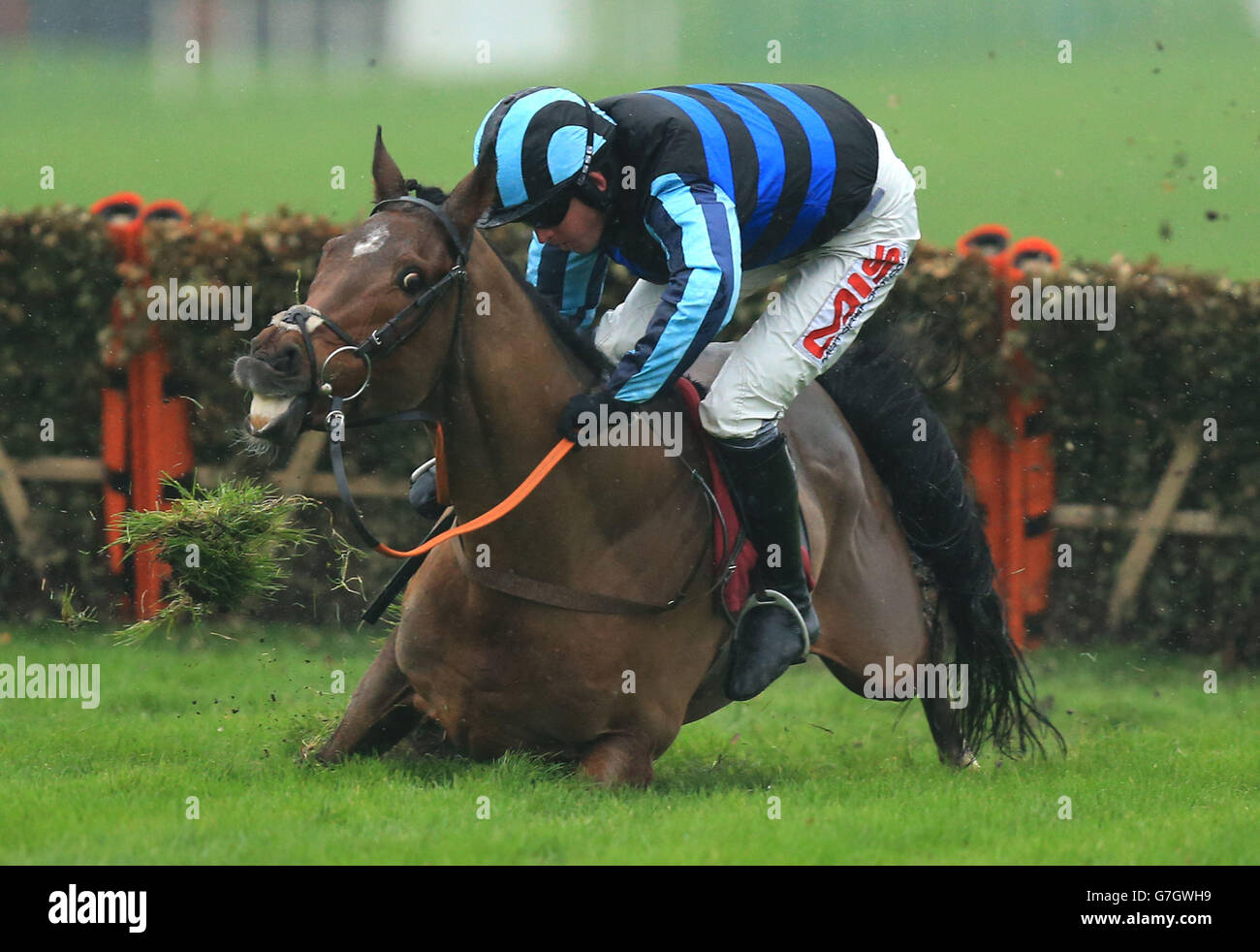 Horse Racing - Haydock Racecourse Stock Photo - Alamy