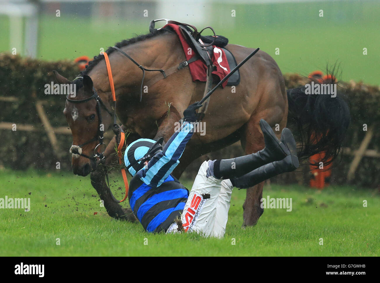 Horse Racing - Haydock Racecourse Stock Photo - Alamy