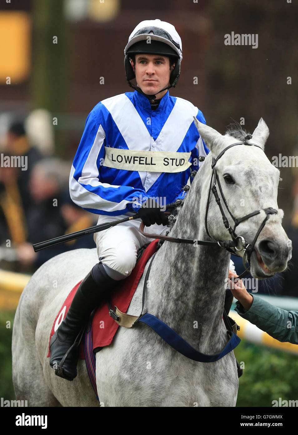 Horse Racing - Haydock Racecourse Stock Photo - Alamy