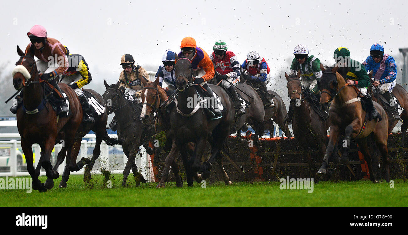 Racing ascot horse horses rider jump fence hi-res stock photography and ...