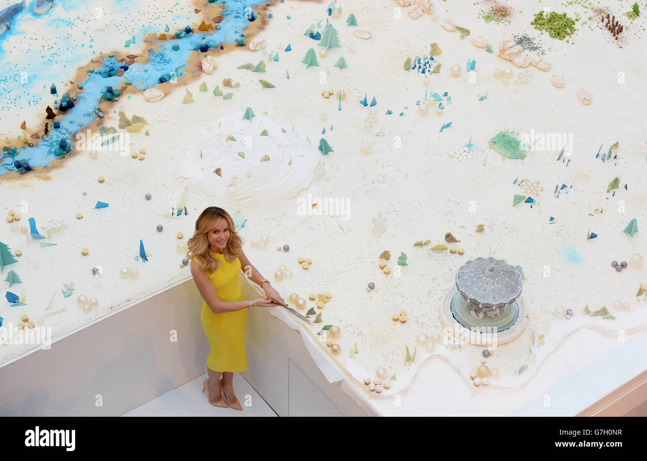 Smallest Cake In The World Guinness World Record