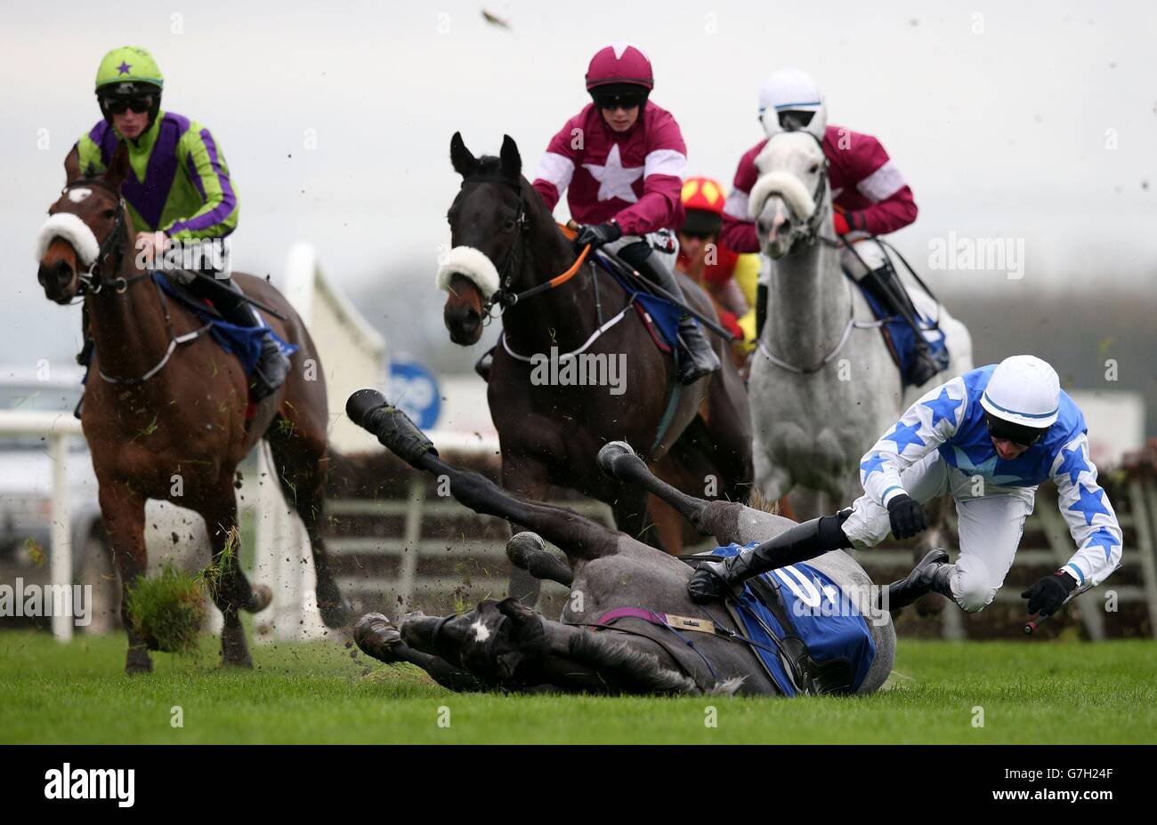 Jockey Mikey Fogarty is unseated by Tarabiyn early on in the Bar One ...