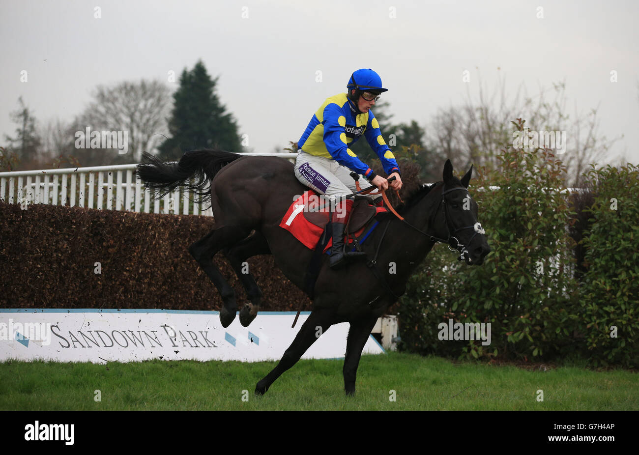 Black Thunder ridden by jockey Sam Twiston - Davies wins the The John ...