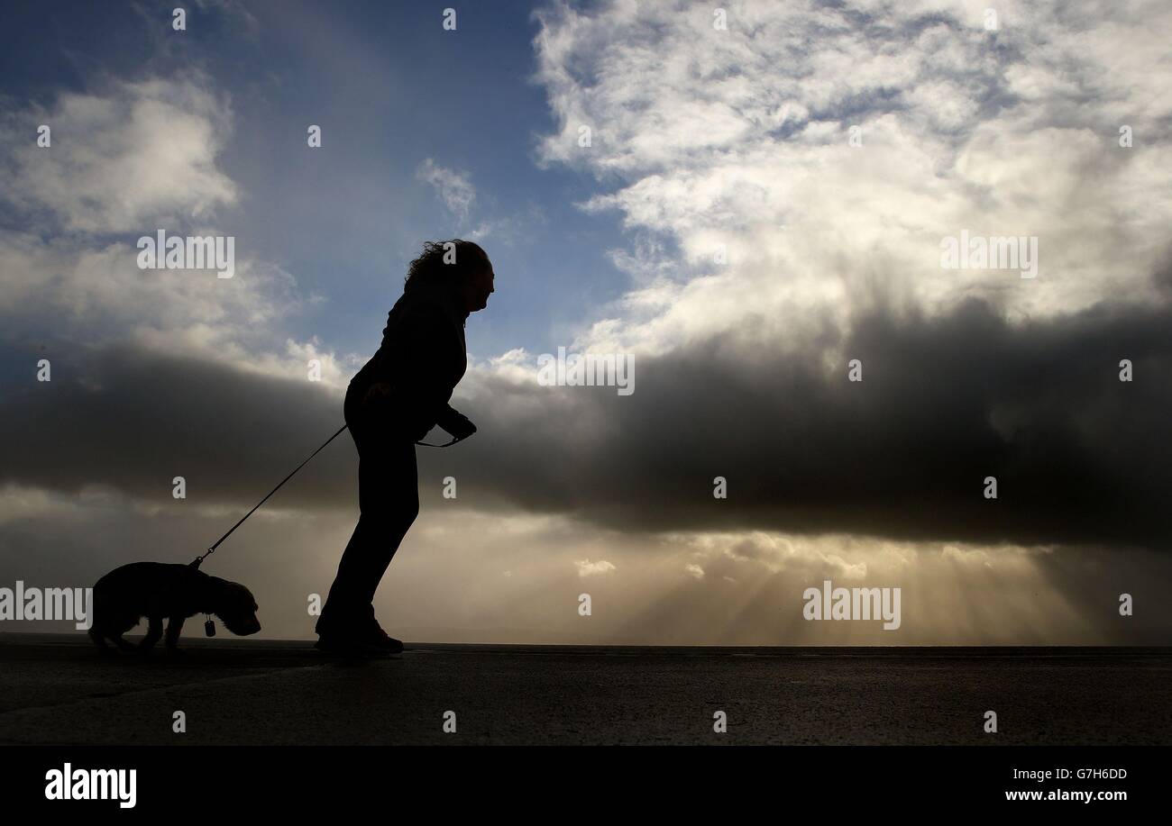 Winter weather Dec 10th 2014 Stock Photo - Alamy