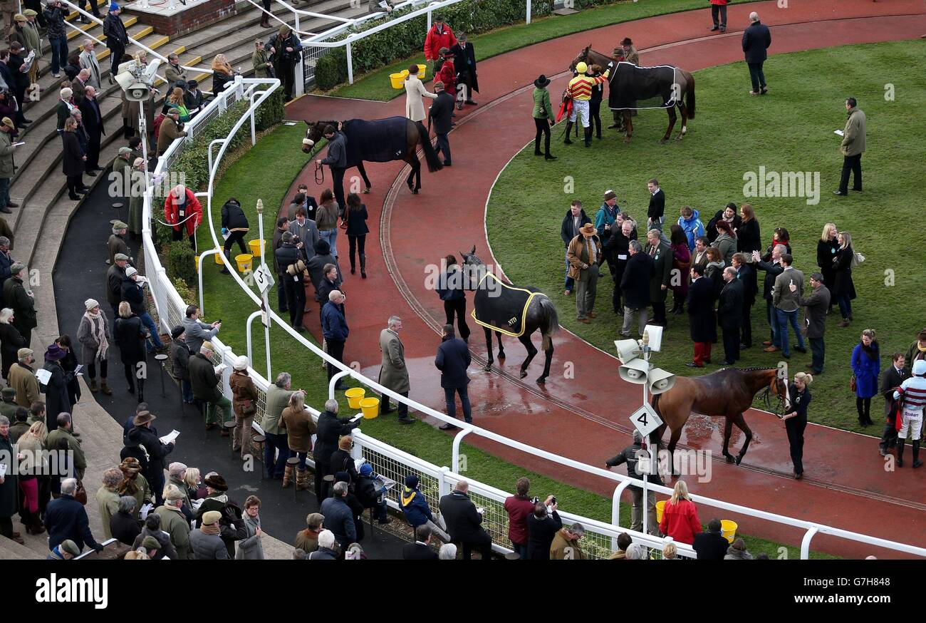 The first four placed horses in the winners enclosure after the Shloer ...