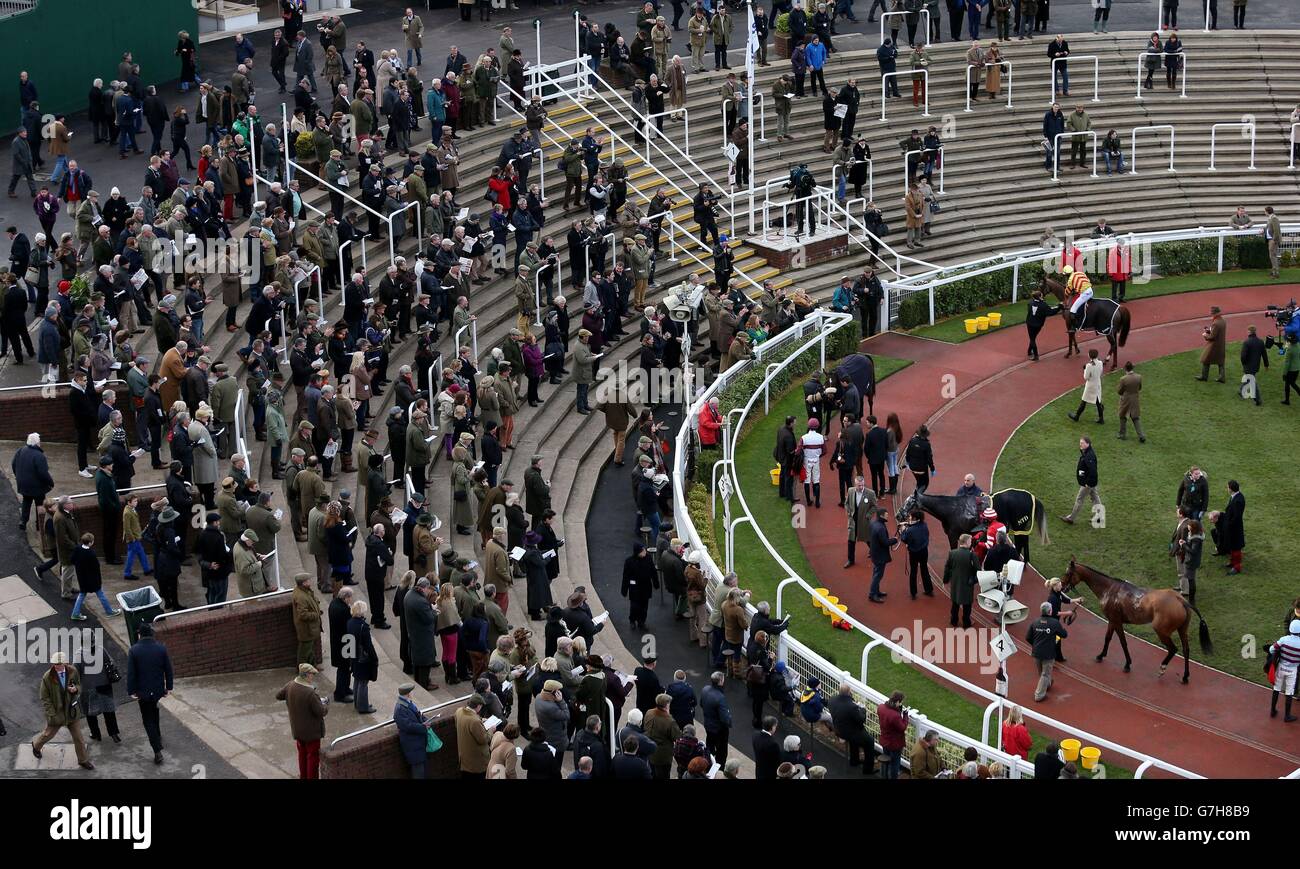 Placed horses in the winner's enclosure after the Shloer Conditional ...