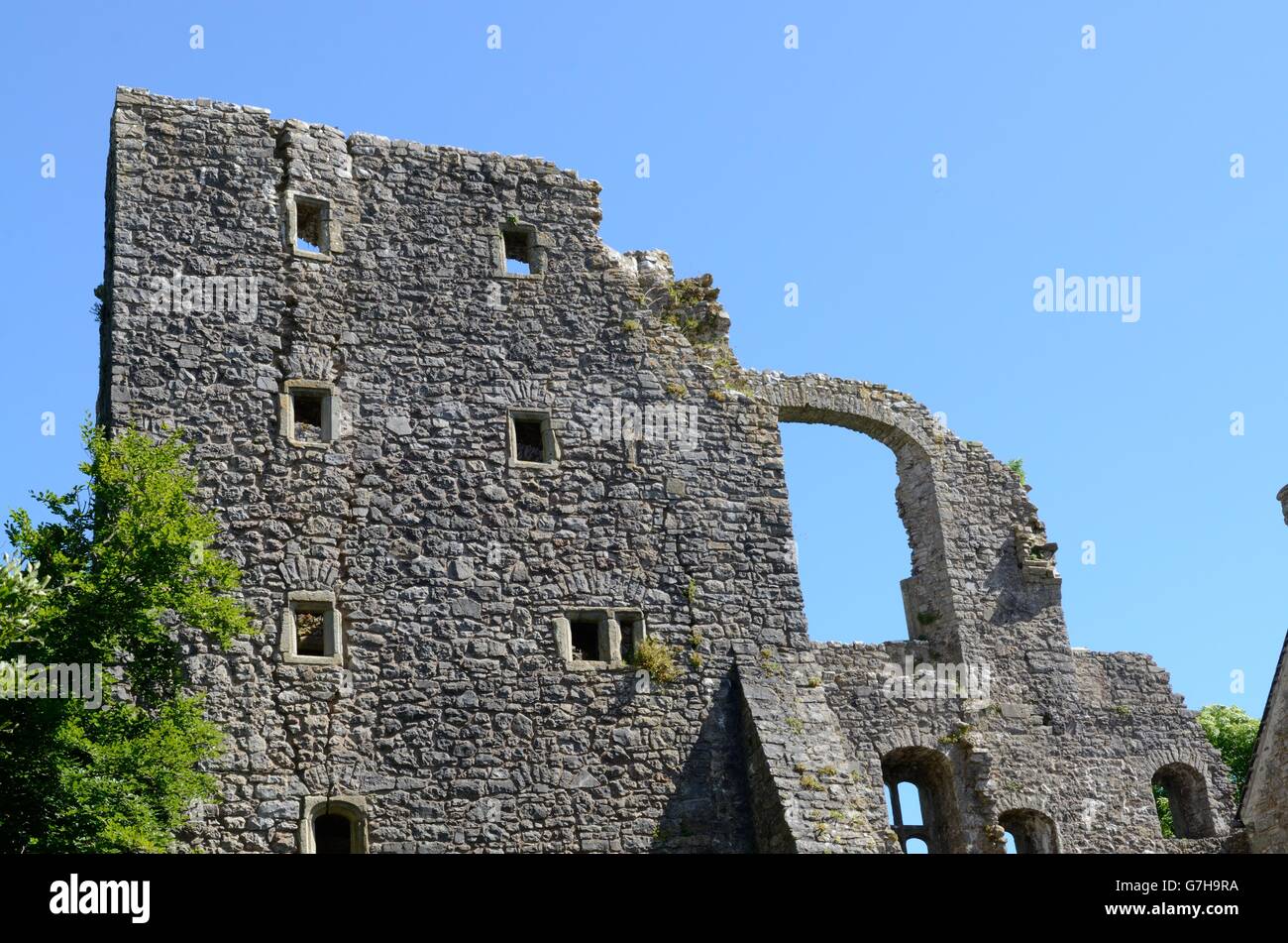 Remains of the Elizabethan long gallery Oxwich Castle Gower peninsula ...