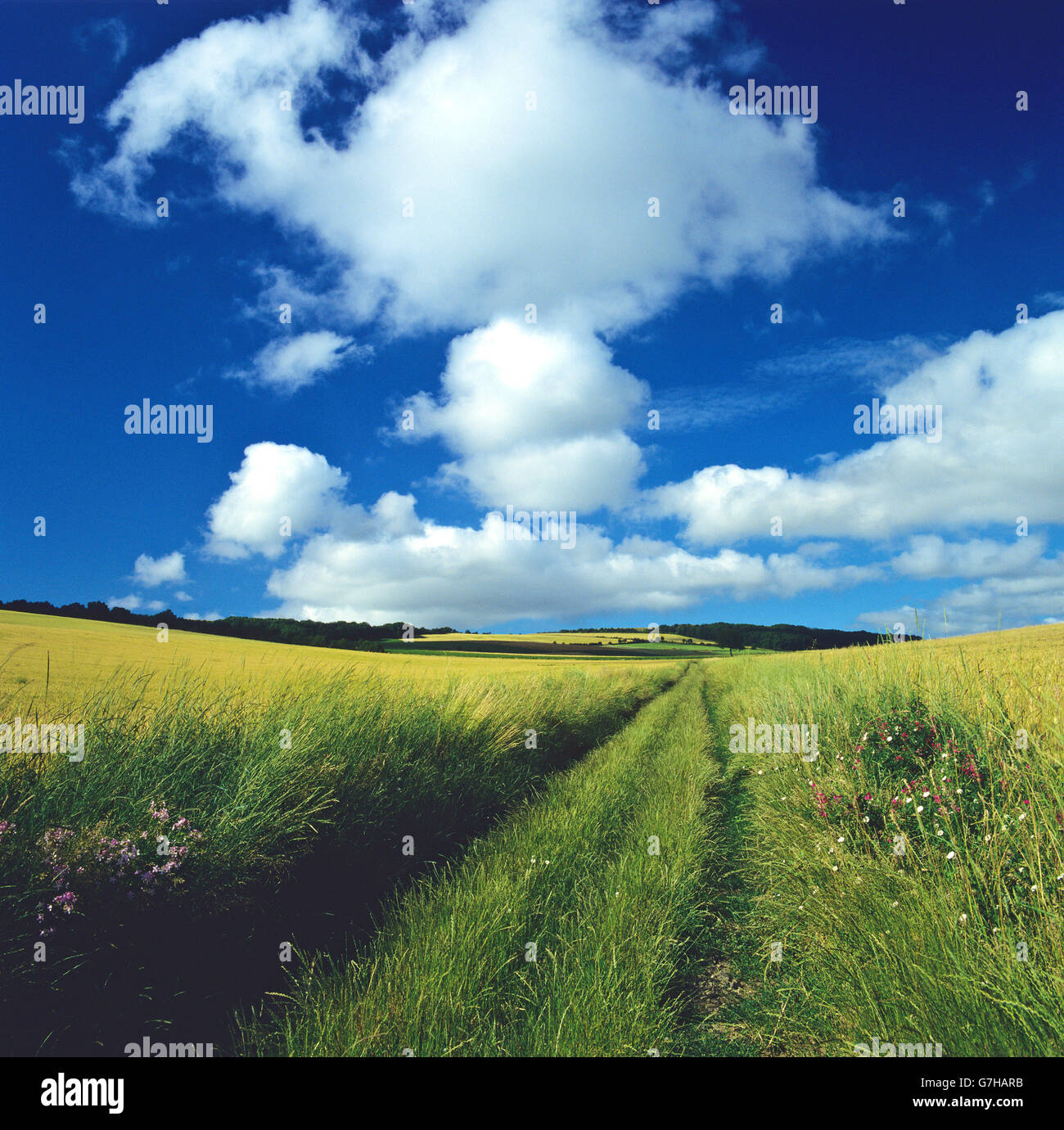Pathway through the fields hi-res stock photography and images - Alamy