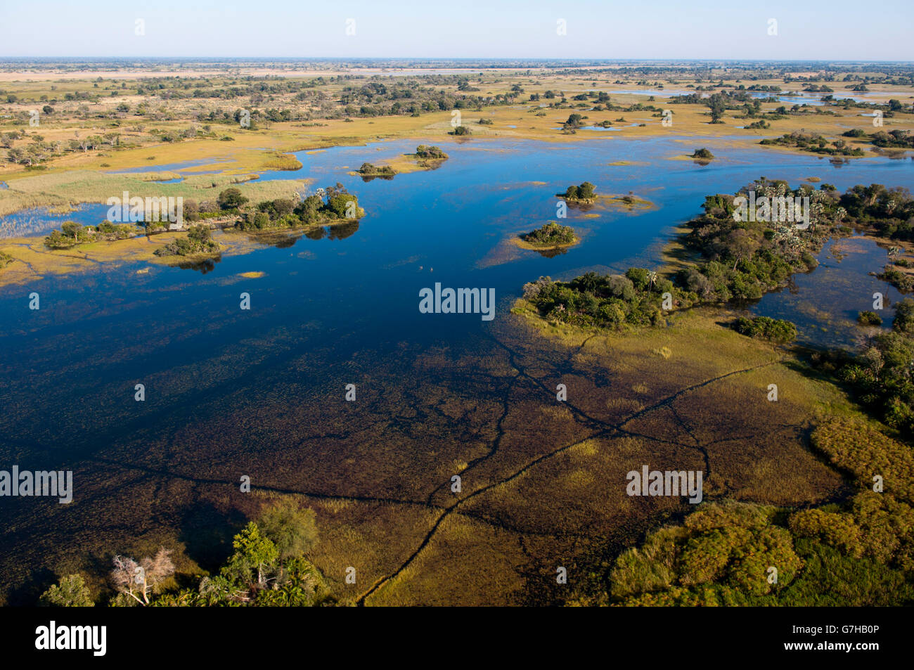 Aerial view of Okavango Delta, Botswana, Africa Stock Photo - Alamy