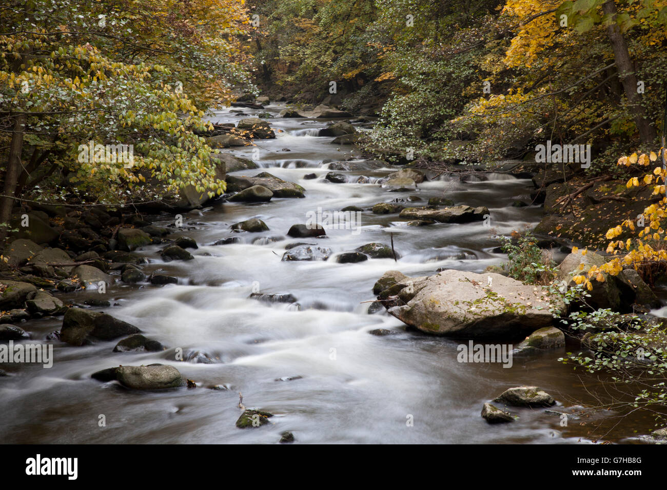 Bode river, Bodetal or Bode Gorge Nature Reserve, Thale, Harz, Saxony ...