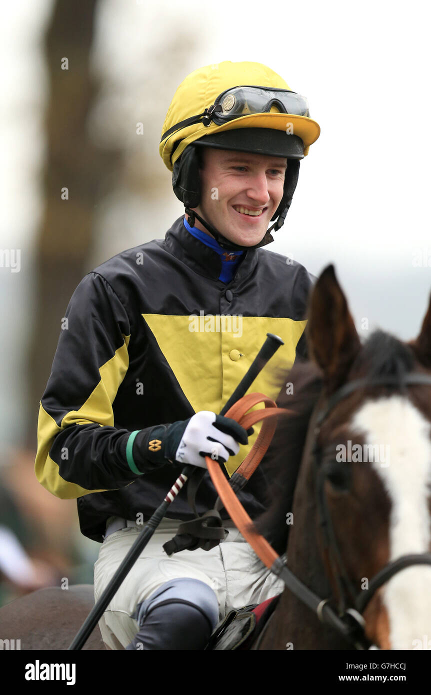 Horse Racing - Haydock Racecourse Stock Photo - Alamy