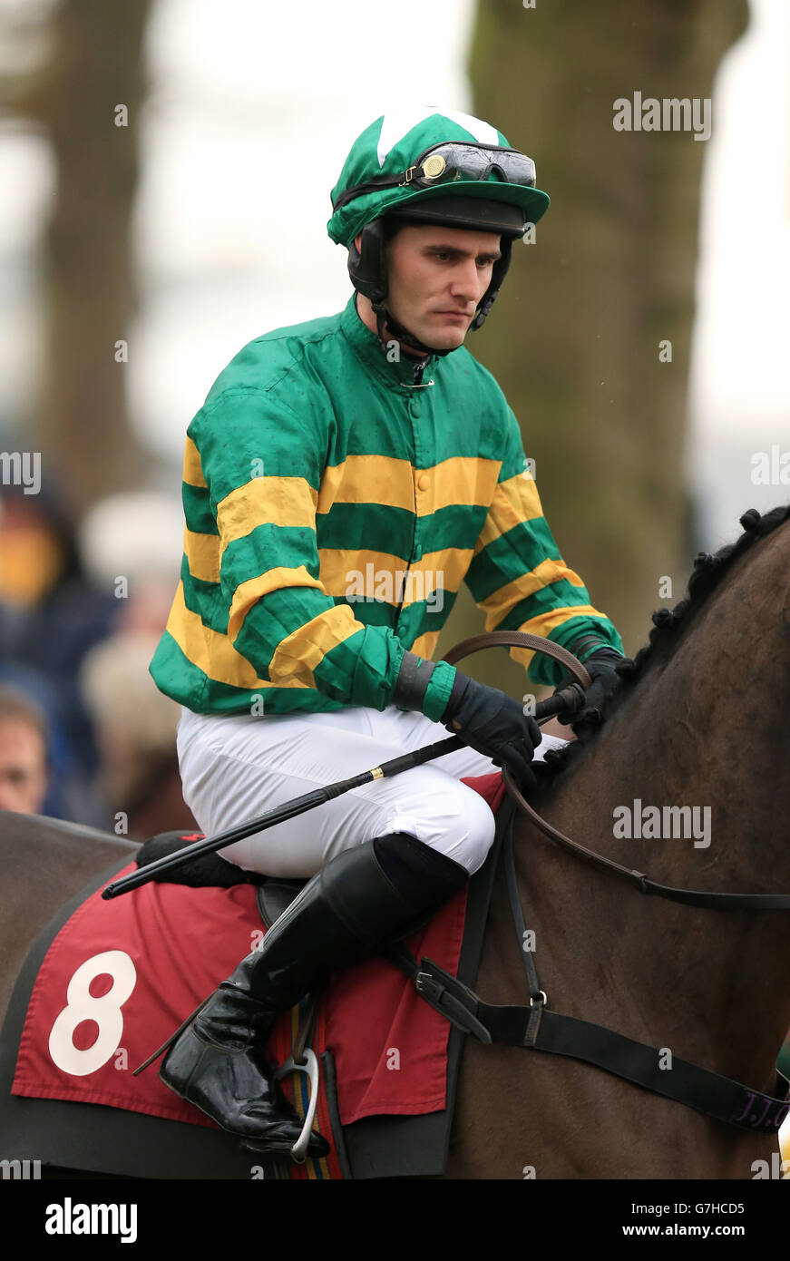 Horse Racing - Haydock Racecourse Stock Photo - Alamy