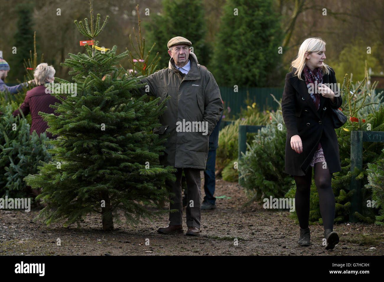 Keele christmas tree hi-res stock photography and images - Alamy