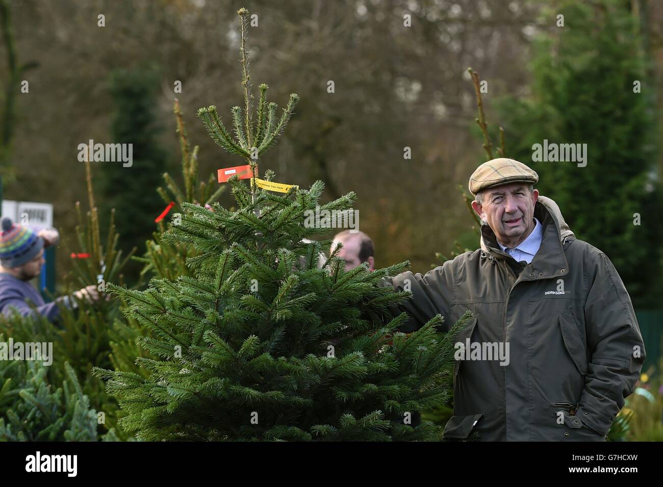 Keele christmas tree hi-res stock photography and images - Alamy