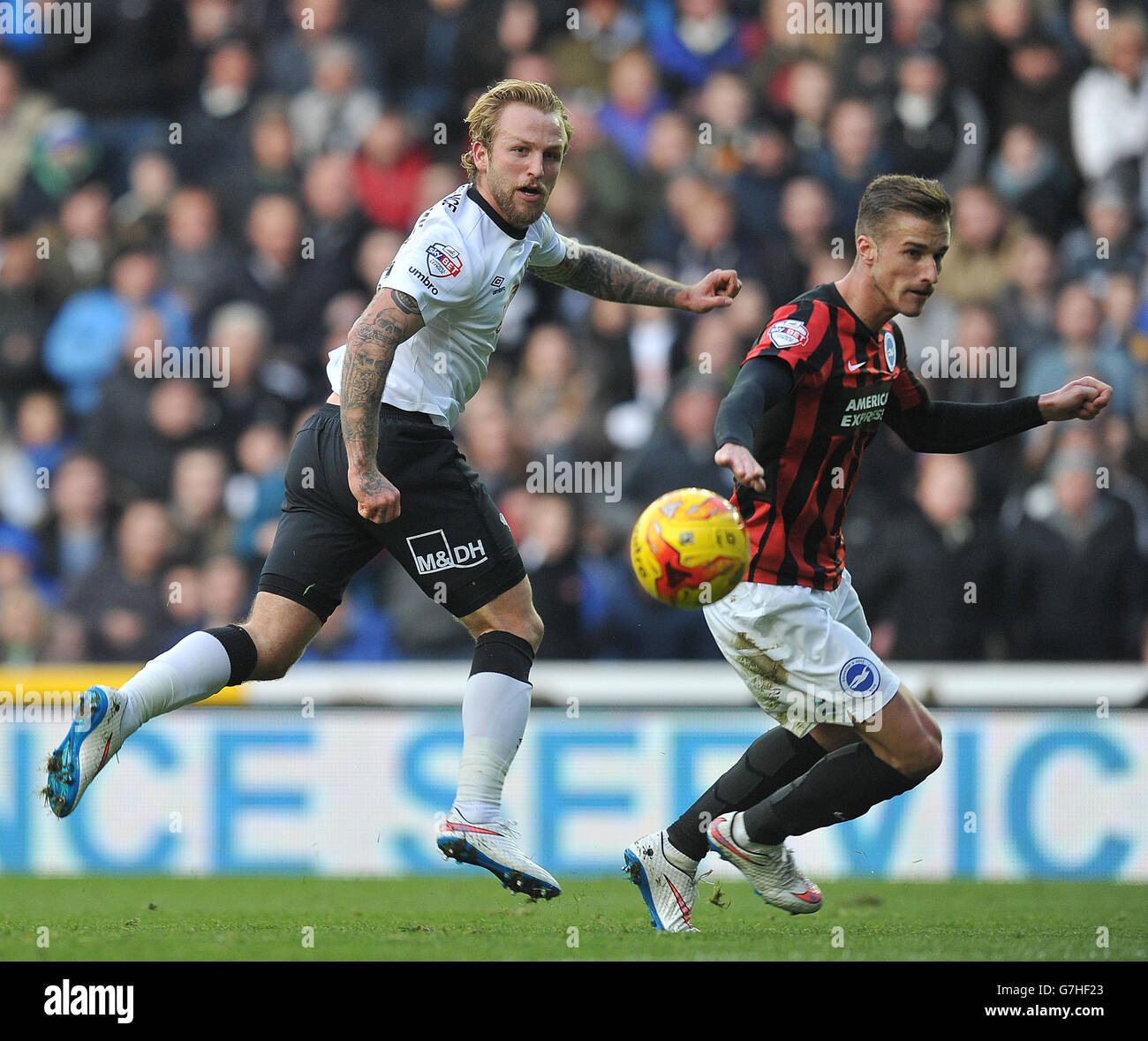 Soccer - Sky Bet Championship - Derby County v Brighton & Hove Albion ...