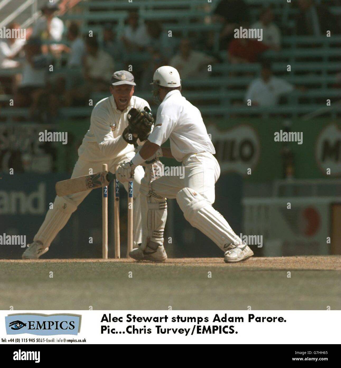 Auckland-1st Test-Day 5. Alec Stewart stumps Adam Parore Stock Photo ...
