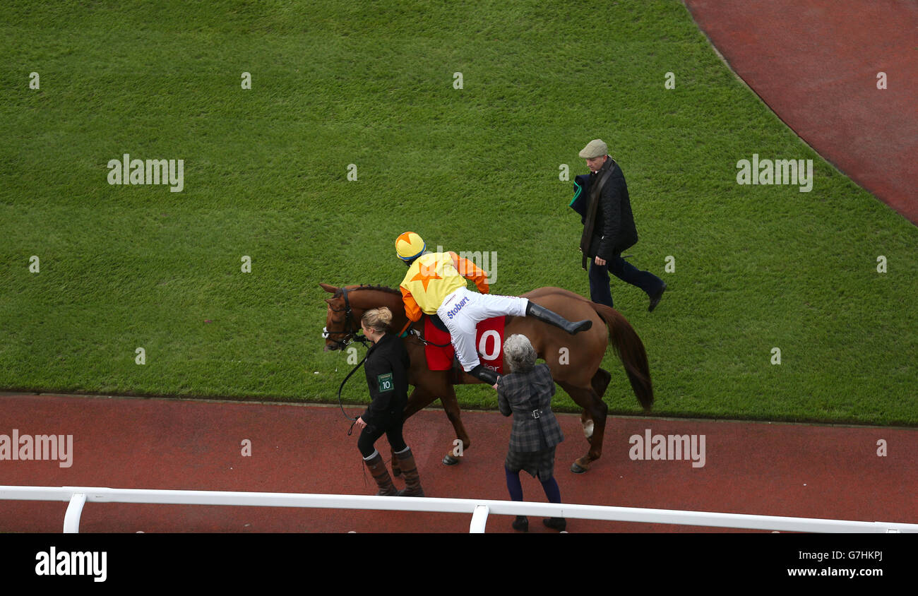 Jockey Mike Hamill mounts Midnight Lire the parade ring at Cheltenham ...