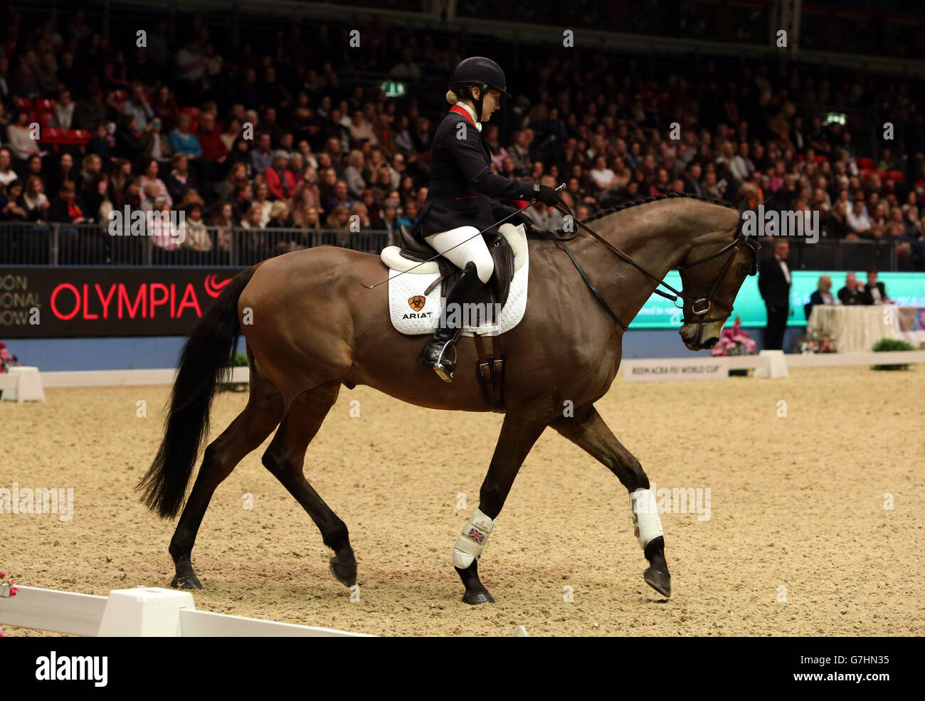 Kauto star race horse hi-res stock photography and images - Alamy