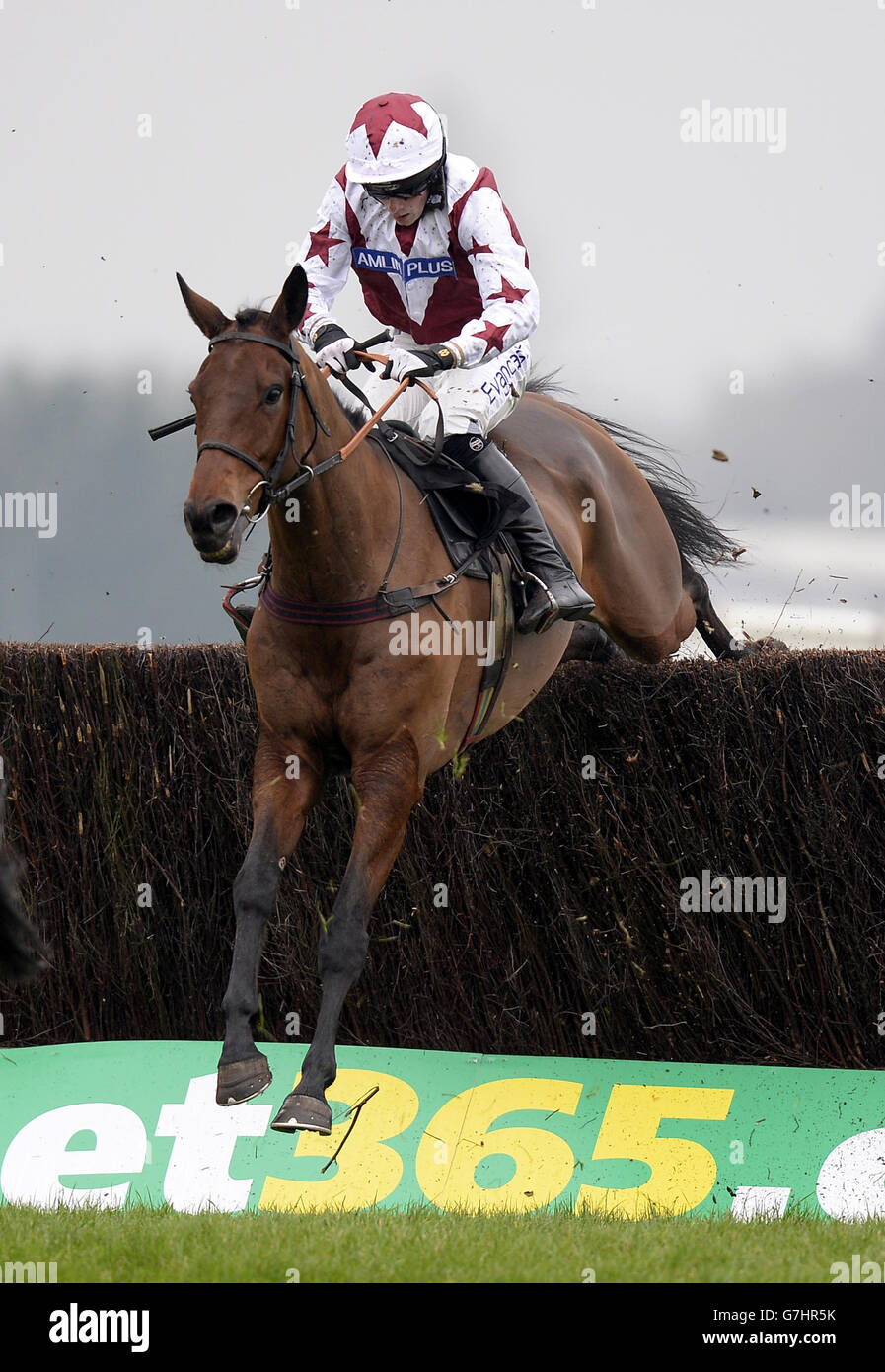 Jockey michael nolan hi-res stock photography and images - Alamy