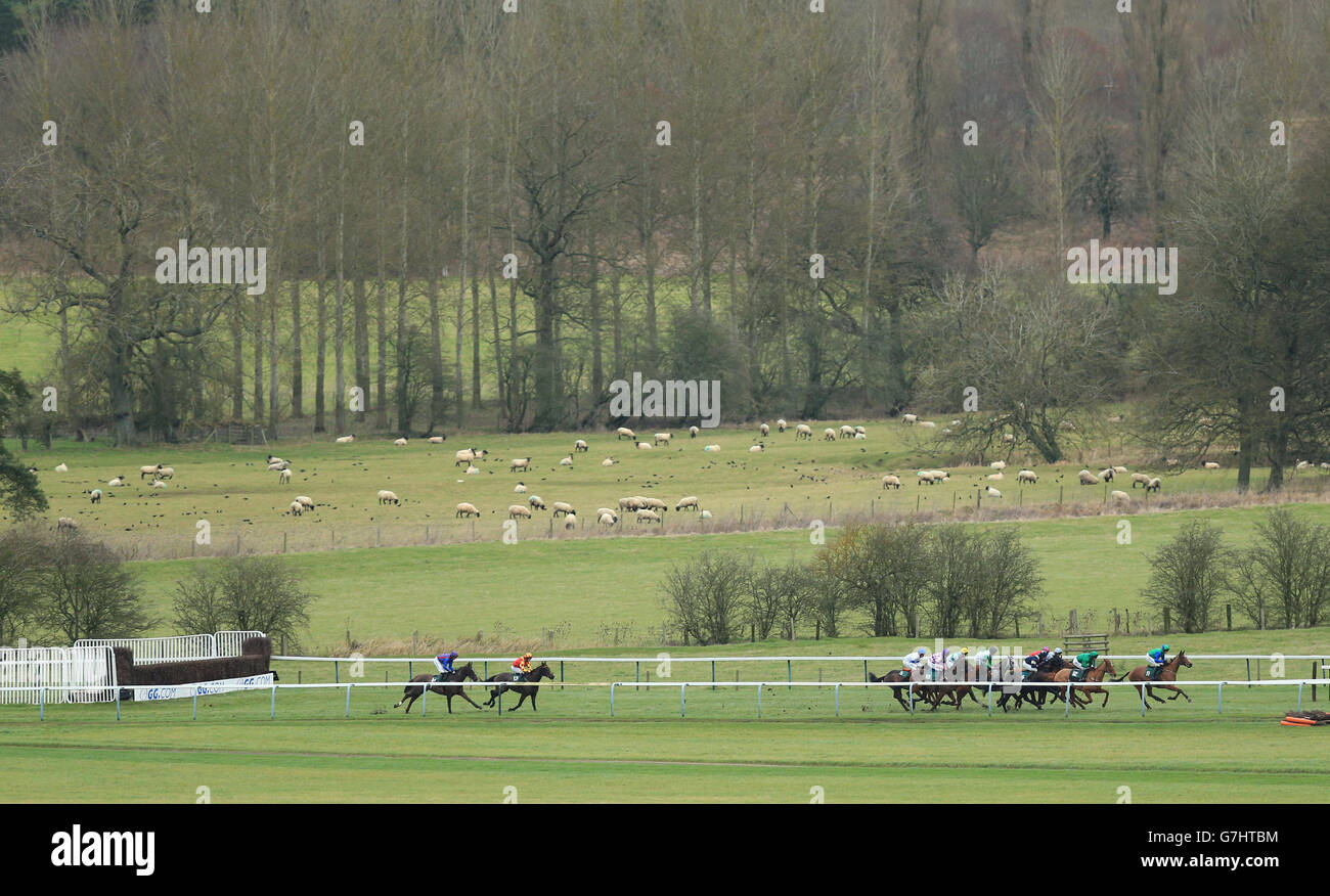 Horses in The Haygain Hay Steamers Clean Healthy Forage Maiden Hurdle ...