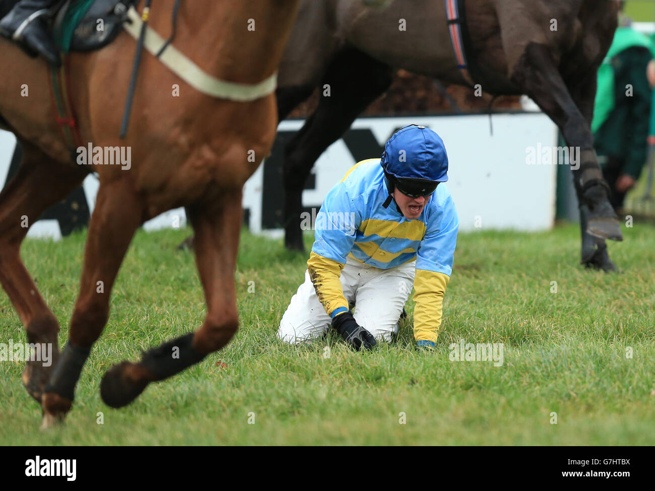 Horse Racing - Towcester Racecourse. Tom Messenger takes a tumble in ...