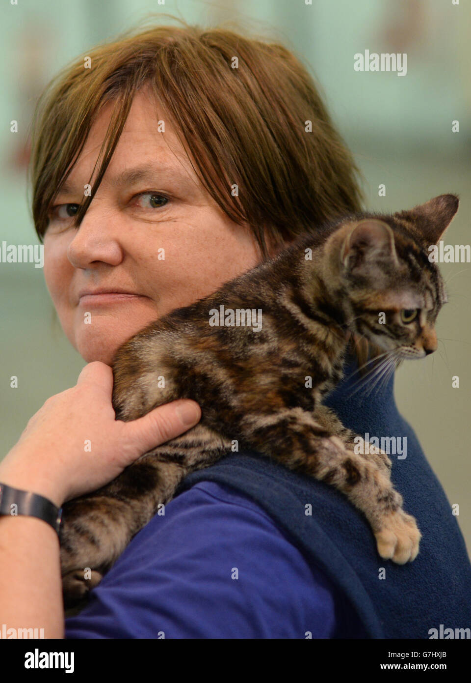 Ailurophobia or gatophobia – cats hi-res stock photography and images ...