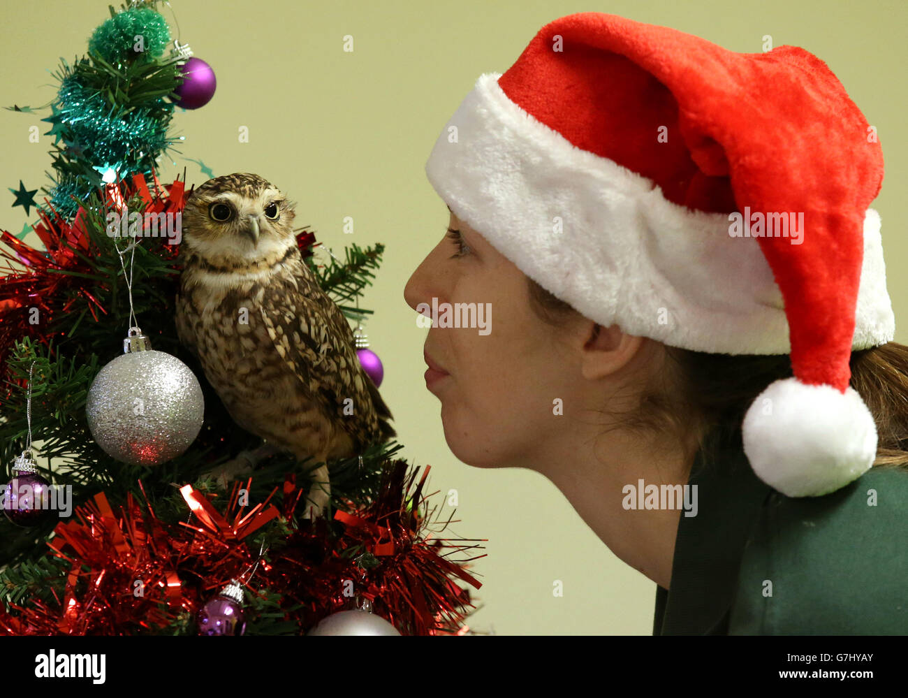Blair Drummond Safari Park Birds of Prey keeper Laura Downie with Ant ...
