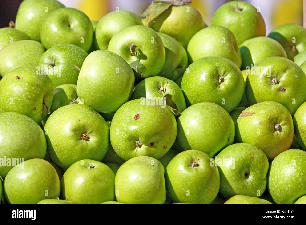 Lots of green apples on the farmer's market, background Stock Photo - Alamy