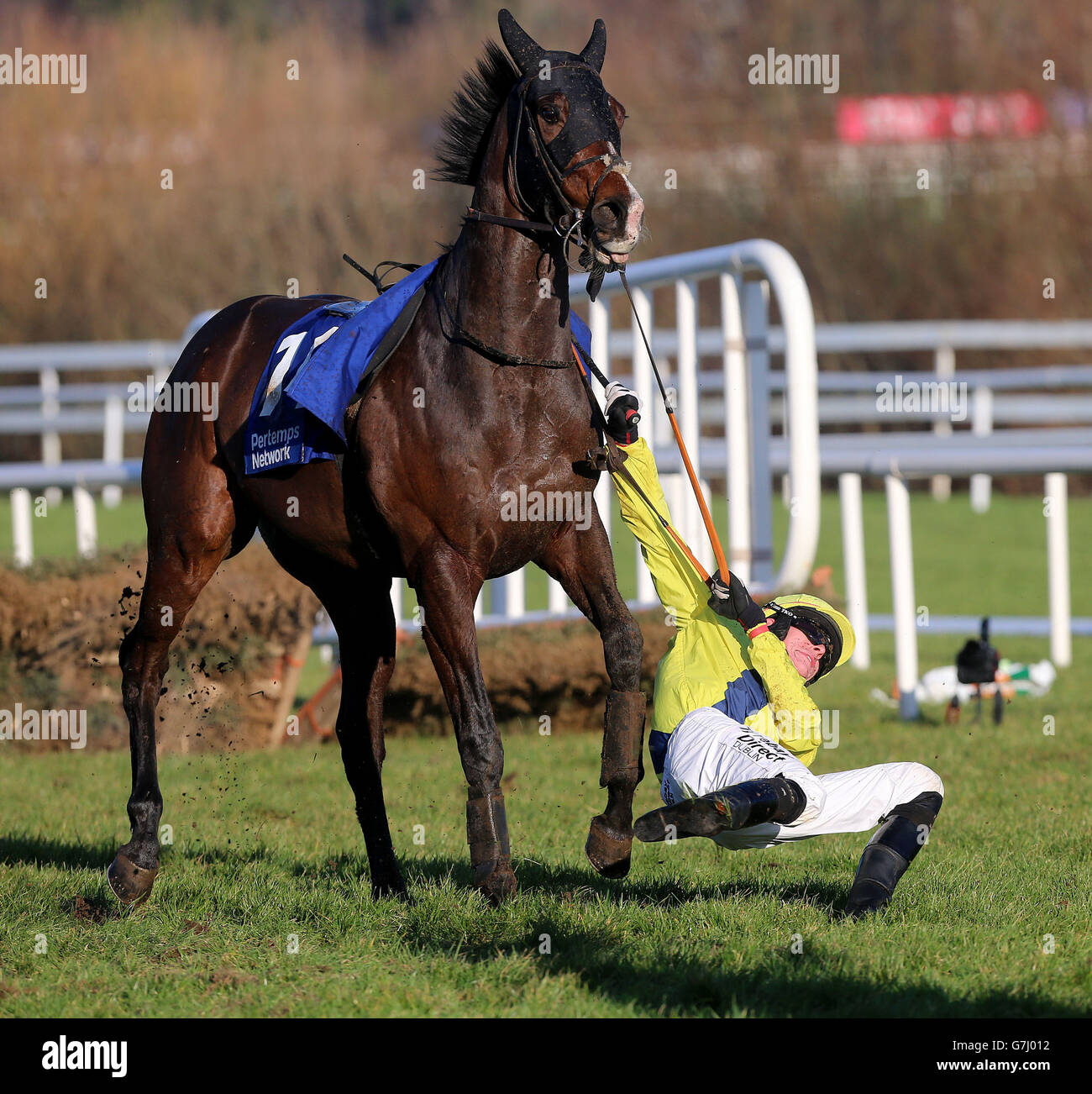 Shane shortall hi-res stock photography and images - Alamy