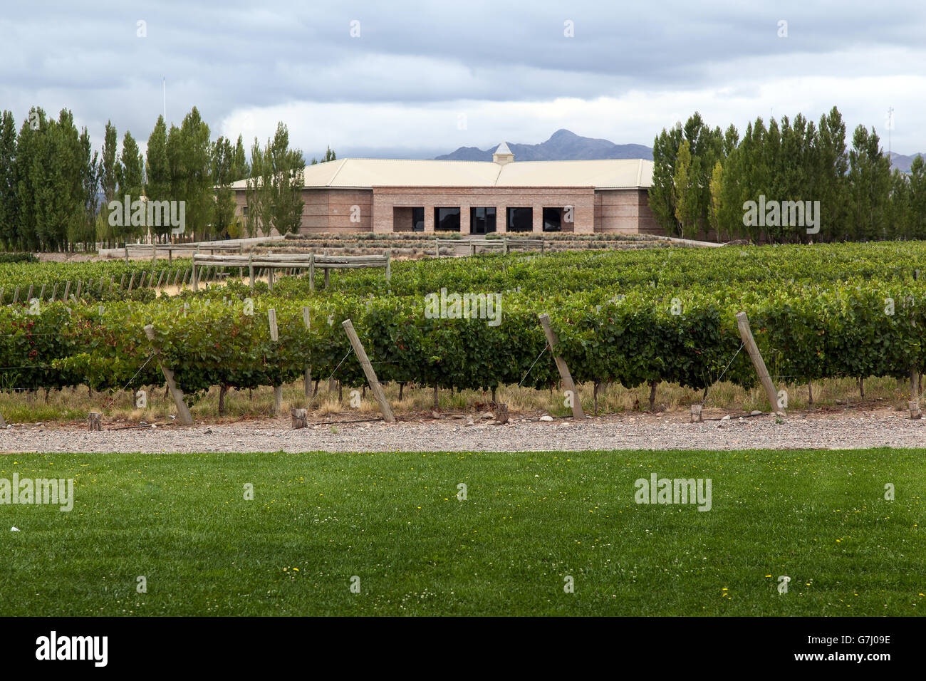 Salentein winery hi-res stock photography and images - Alamy