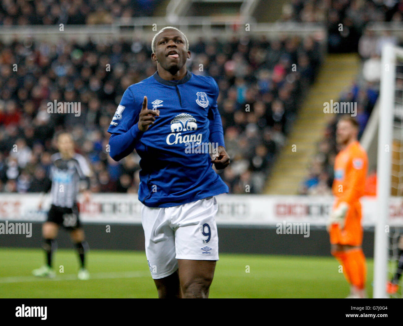 Everton's Arouna Kone celebrates scoring his side's first goal of the ...