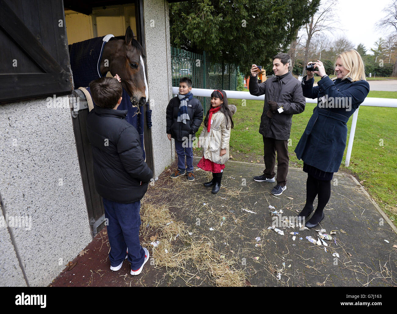 Kauto star in stable hi-res stock photography and images - Alamy