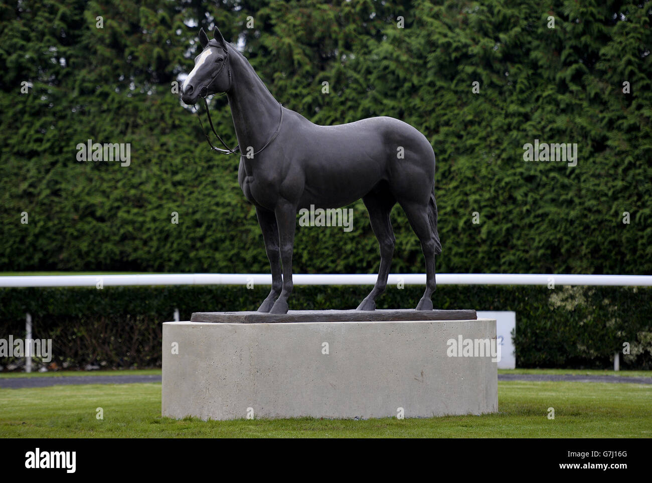 General view of the parade ring at kempton park hi-res stock ...