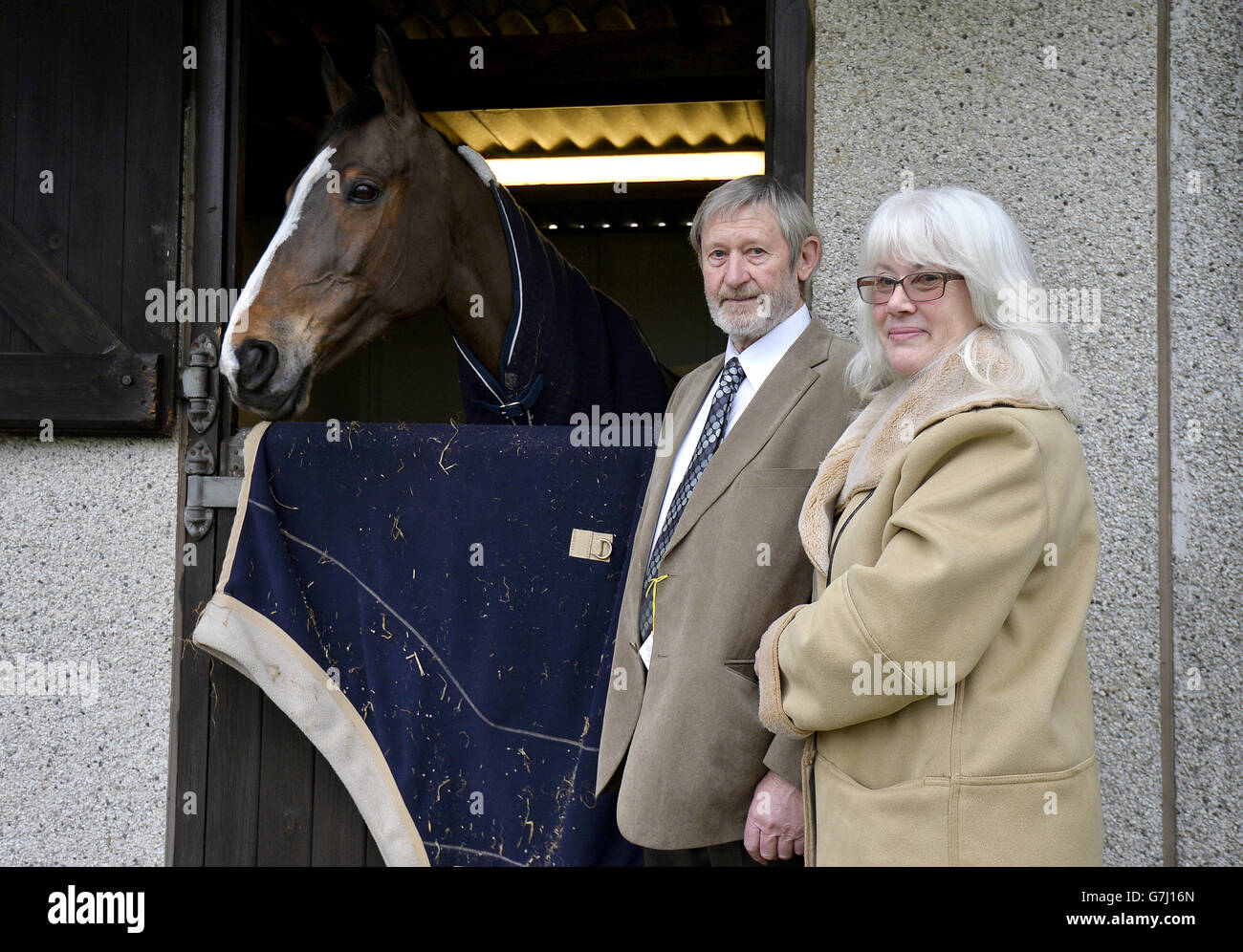 Kauto star in stable hi-res stock photography and images - Alamy