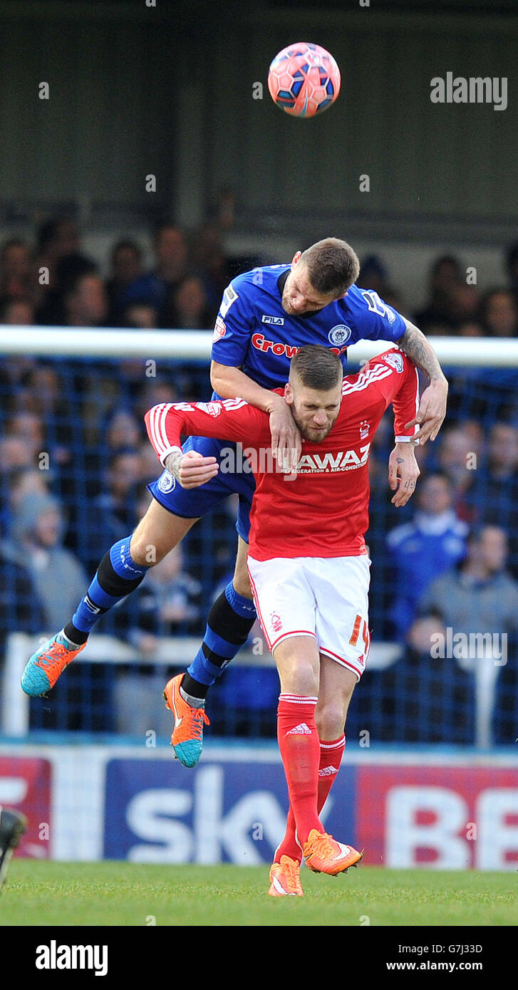 Lars veldwijk forest hi-res stock photography and images - Alamy