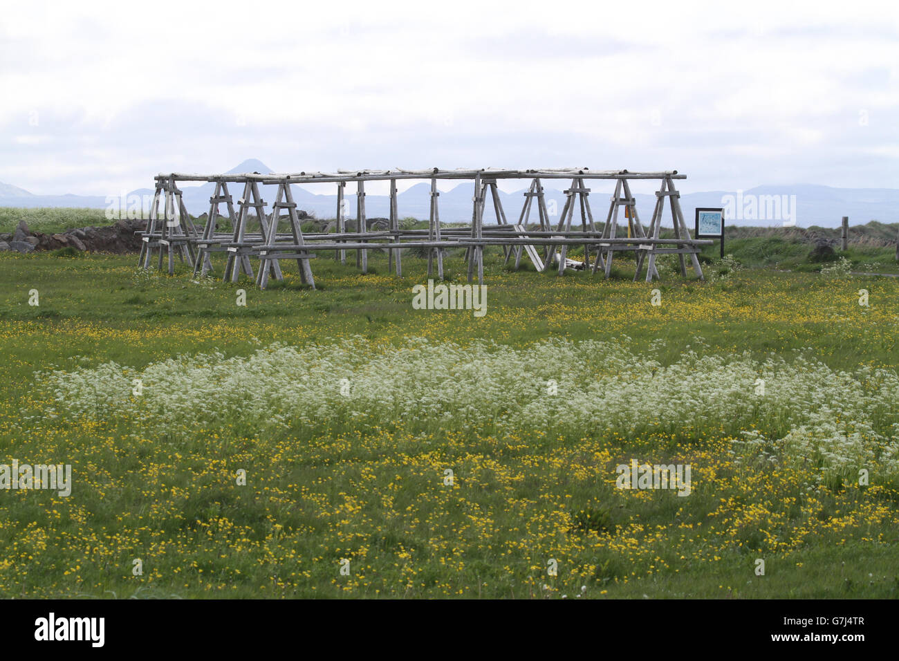 Fish drying racks Iceland Stock Photo - Alamy