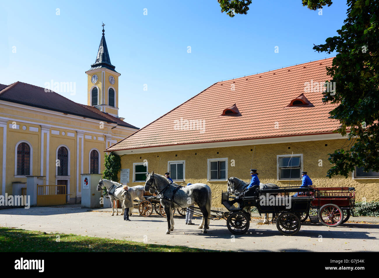 National stud, Kladruby nad Labem (Kladrub an der Elbe), Czech Republic ...