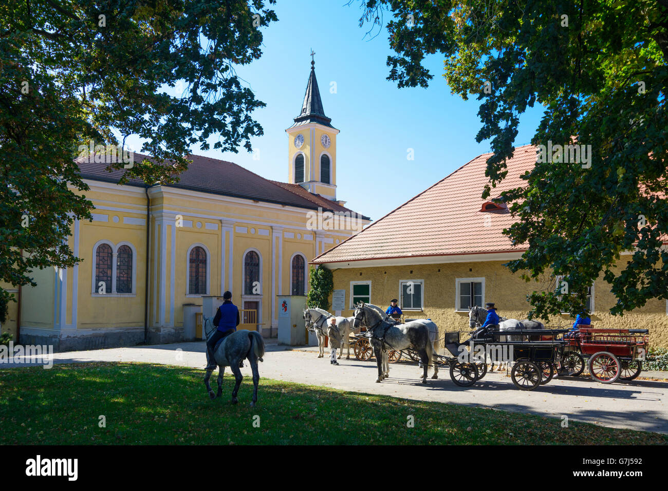 National stud, Kladruby nad Labem (Kladrub an der Elbe), Czech Republic ...