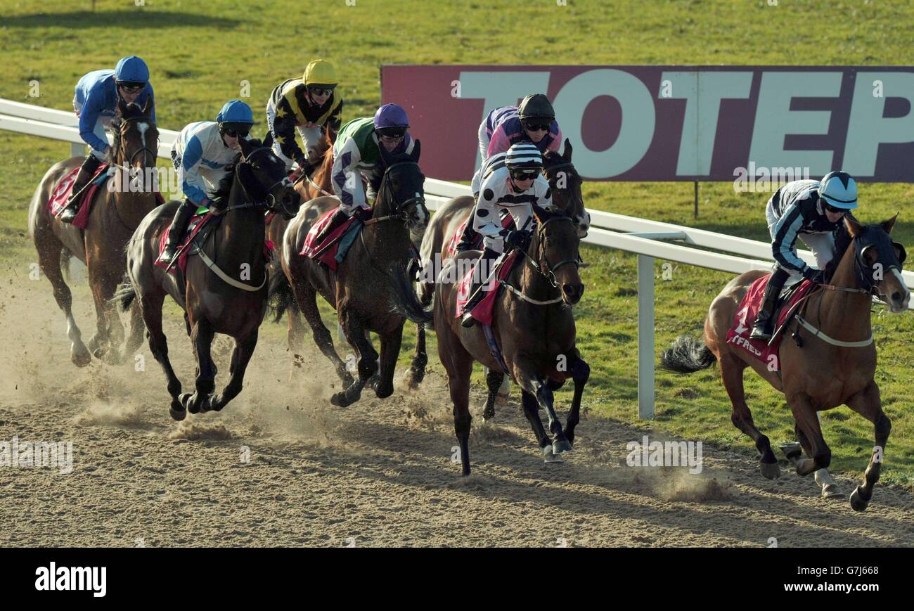 Horse racing chelmsford city racecourse hi-res stock photography and ...