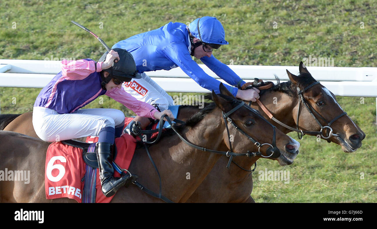 Win chelmsford handicap chelmsford city racecourse hi-res stock ...