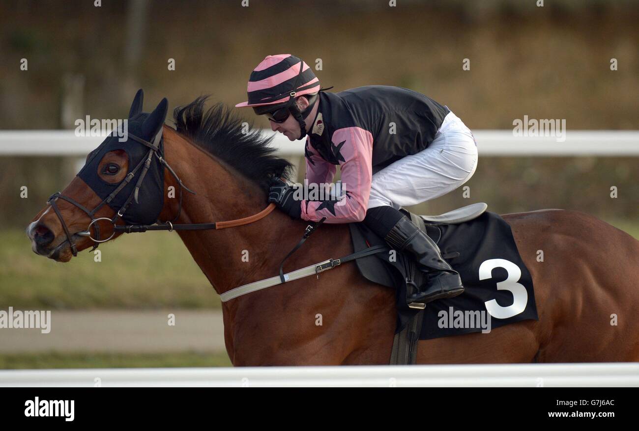 Horse Racing - Chelmsford City Racecourse Stock Photo - Alamy