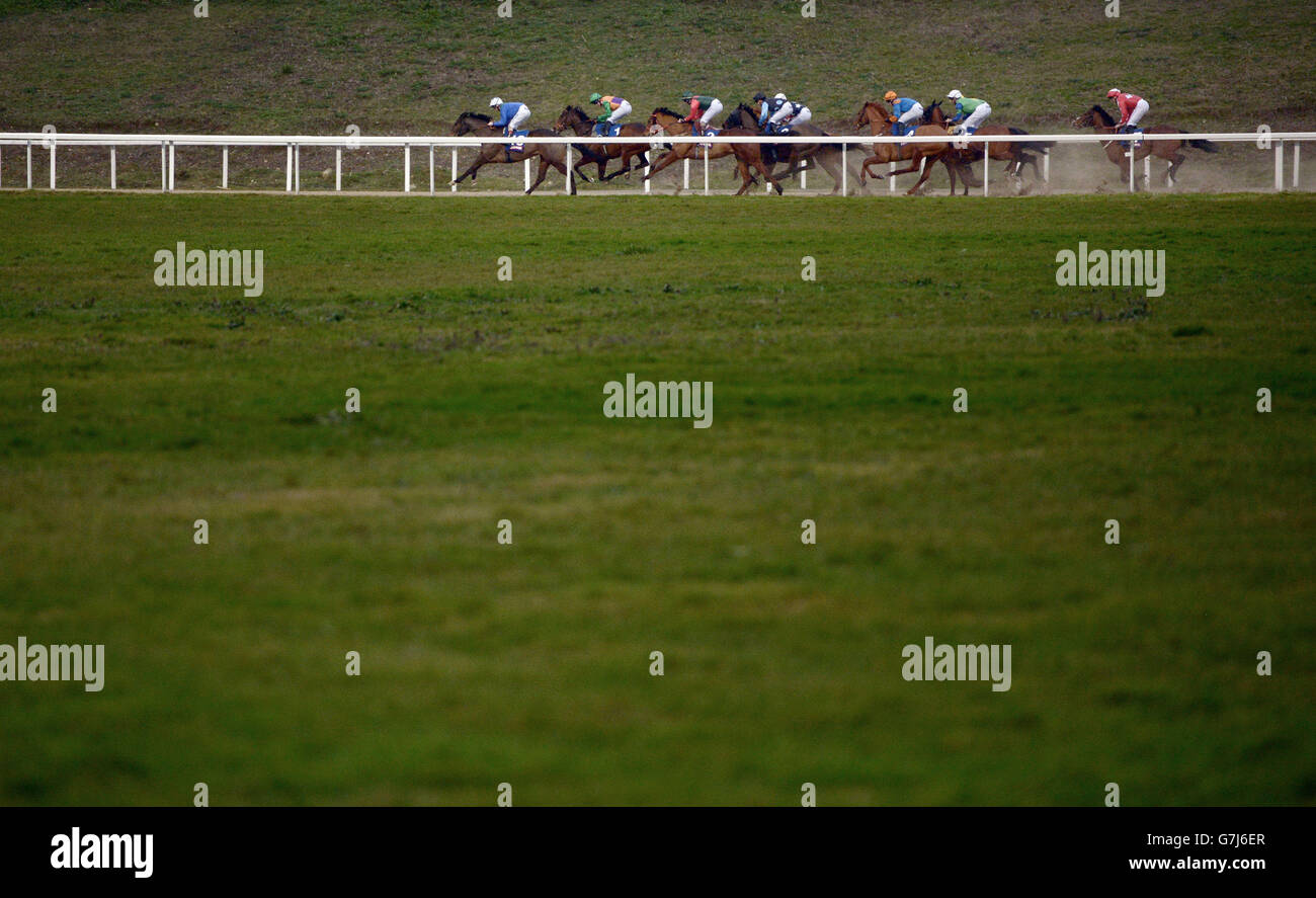 The field race along the back straight during the totepool Handicap ...