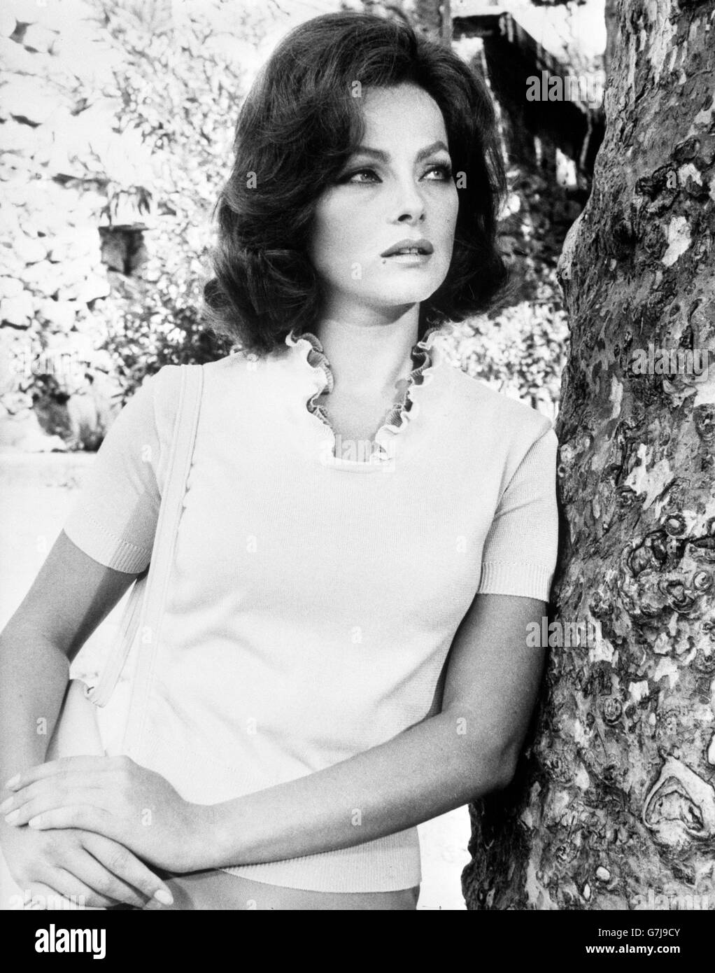 Film - Virna Lisi. Italian film star Virna Lisi Stock Photo - Alamy