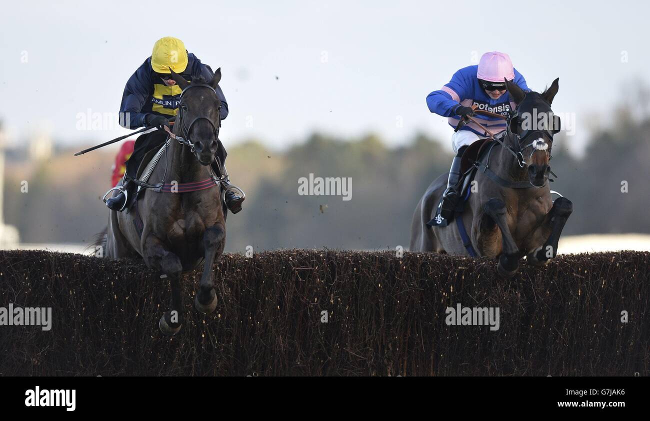 Horse Racing - 2014 Christmas Meeting - Day Two - Ascot Racecourse ...
