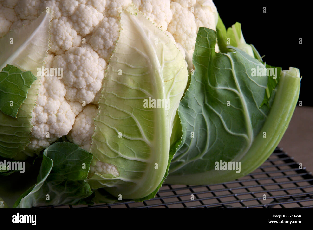 A fresh raw cauliflower Stock Photo - Alamy
