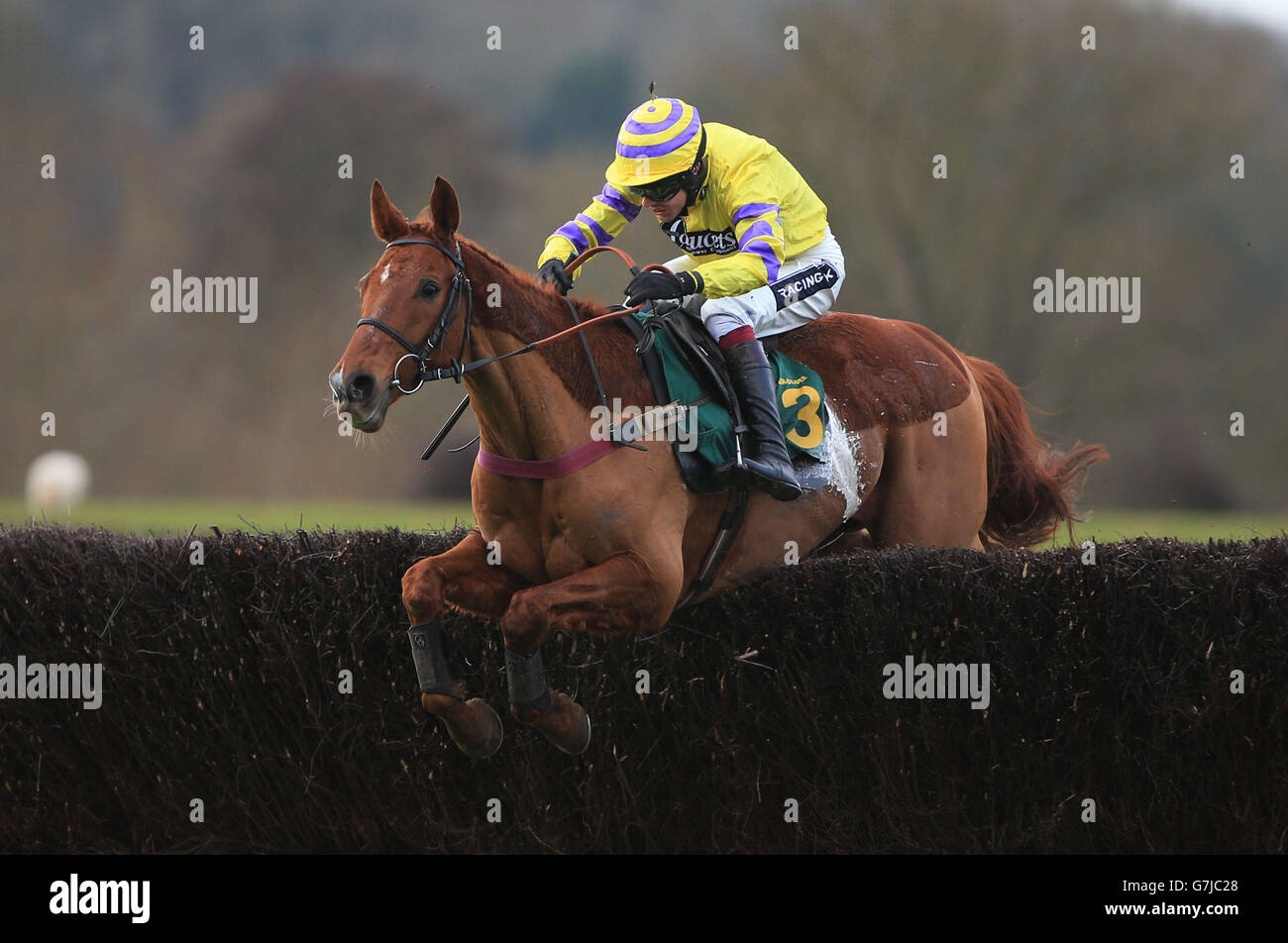 Jupiter rex hi-res stock photography and images - Alamy